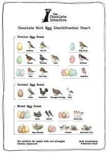 Bird-Egg-identification-Chart – The Chocolate Detective